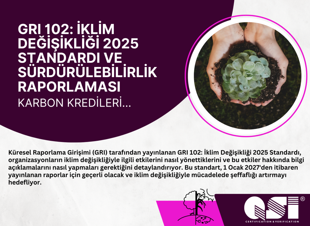 GRI 102: İklİM DEĞİŞİKLİĞİ 2025 Standardı ve SürdürülEBİLİRLİK ...
